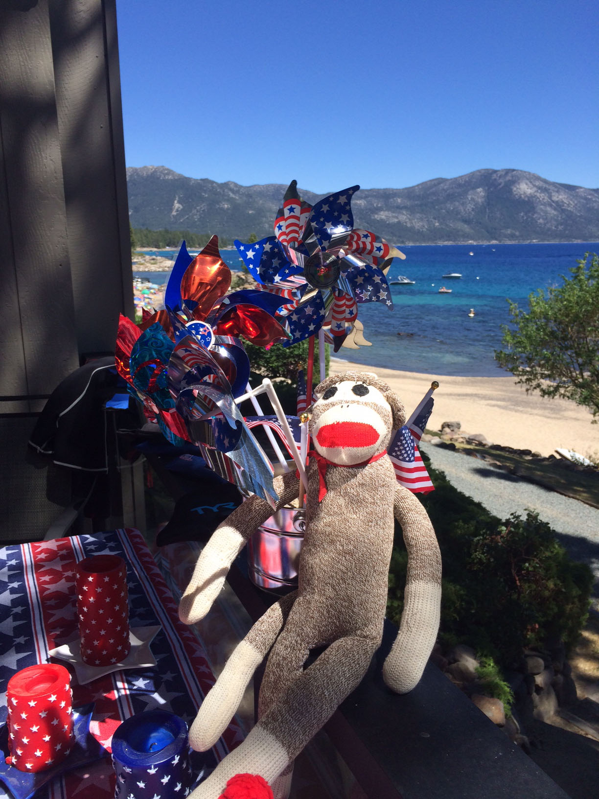 SOCK MONKEY > Dmitri Williams