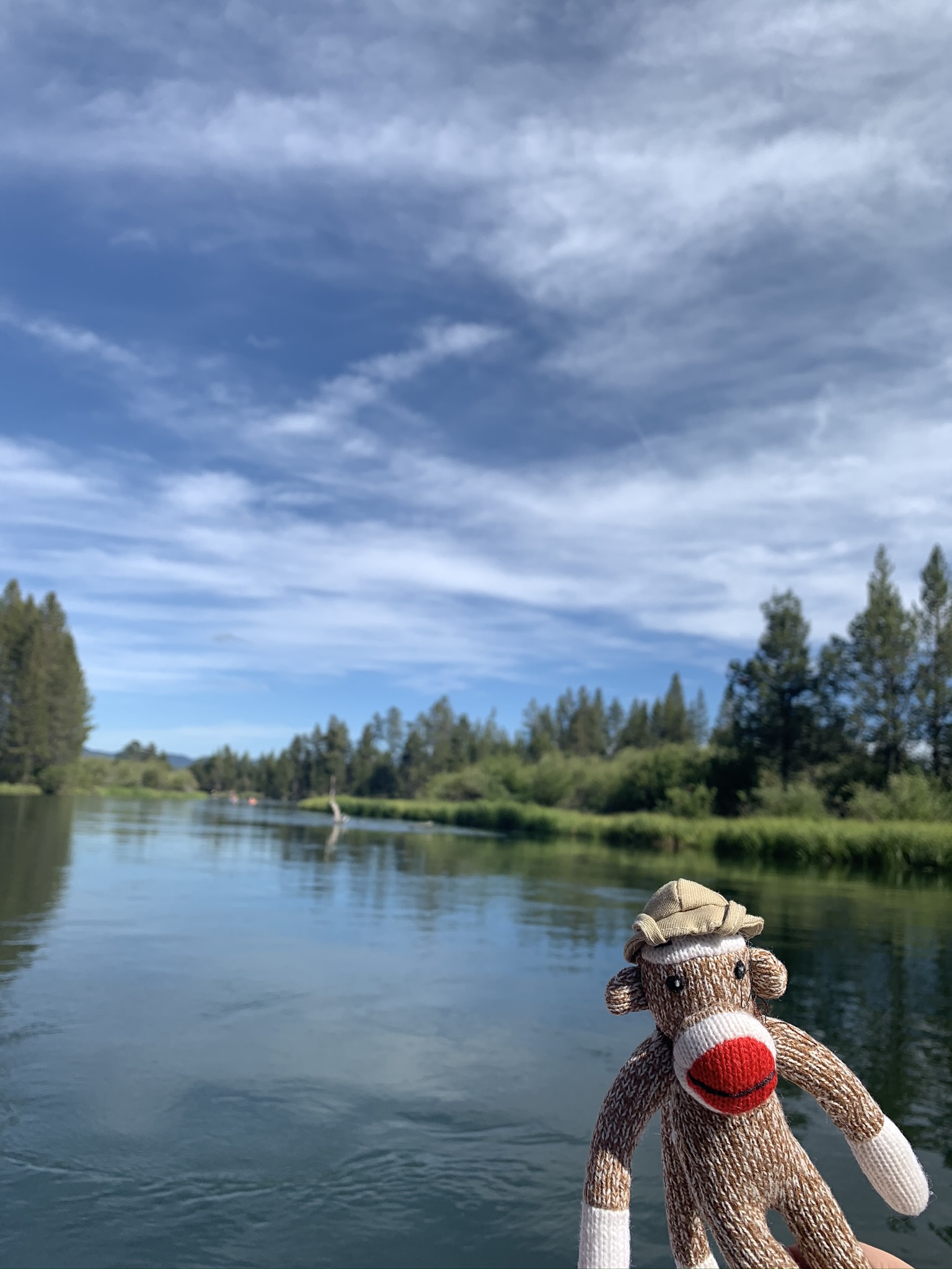 SOCK MONKEY > Dmitri Williams