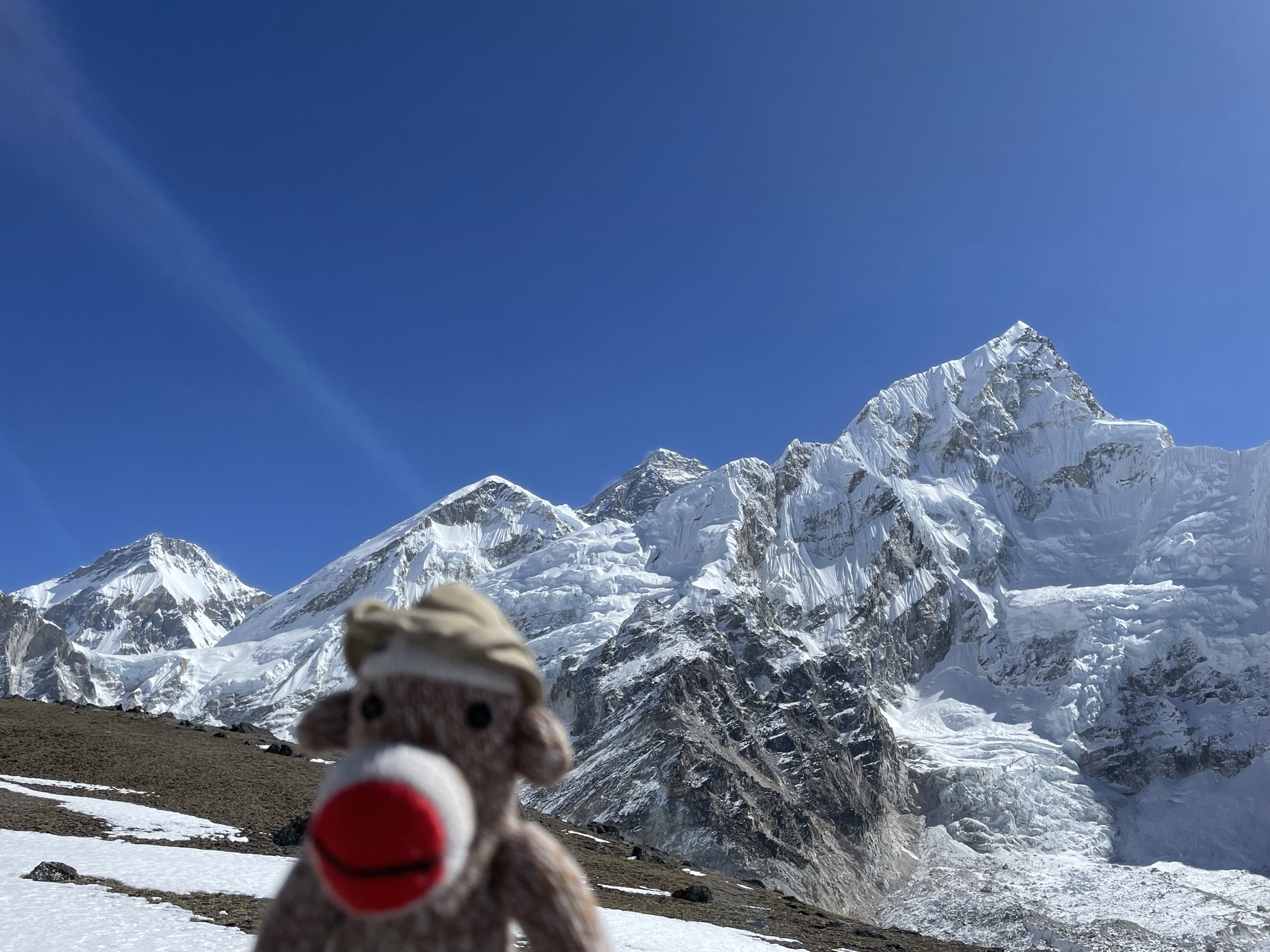 SOCK MONKEY > Dmitri Williams