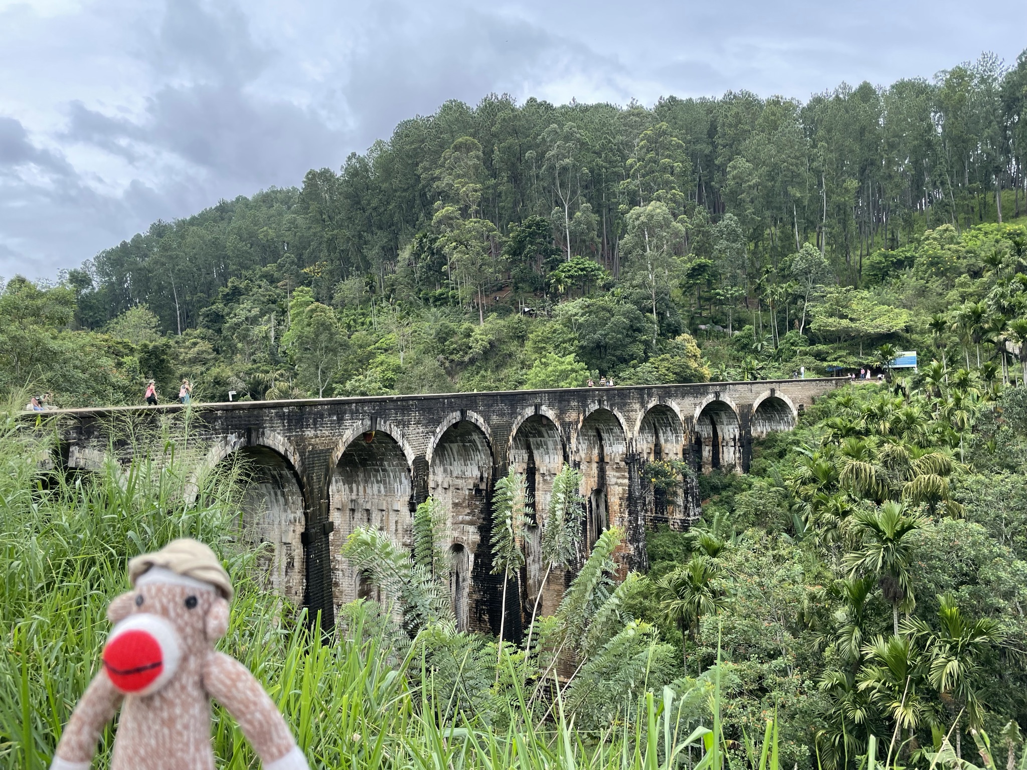 SOCK MONKEY > Dmitri Williams