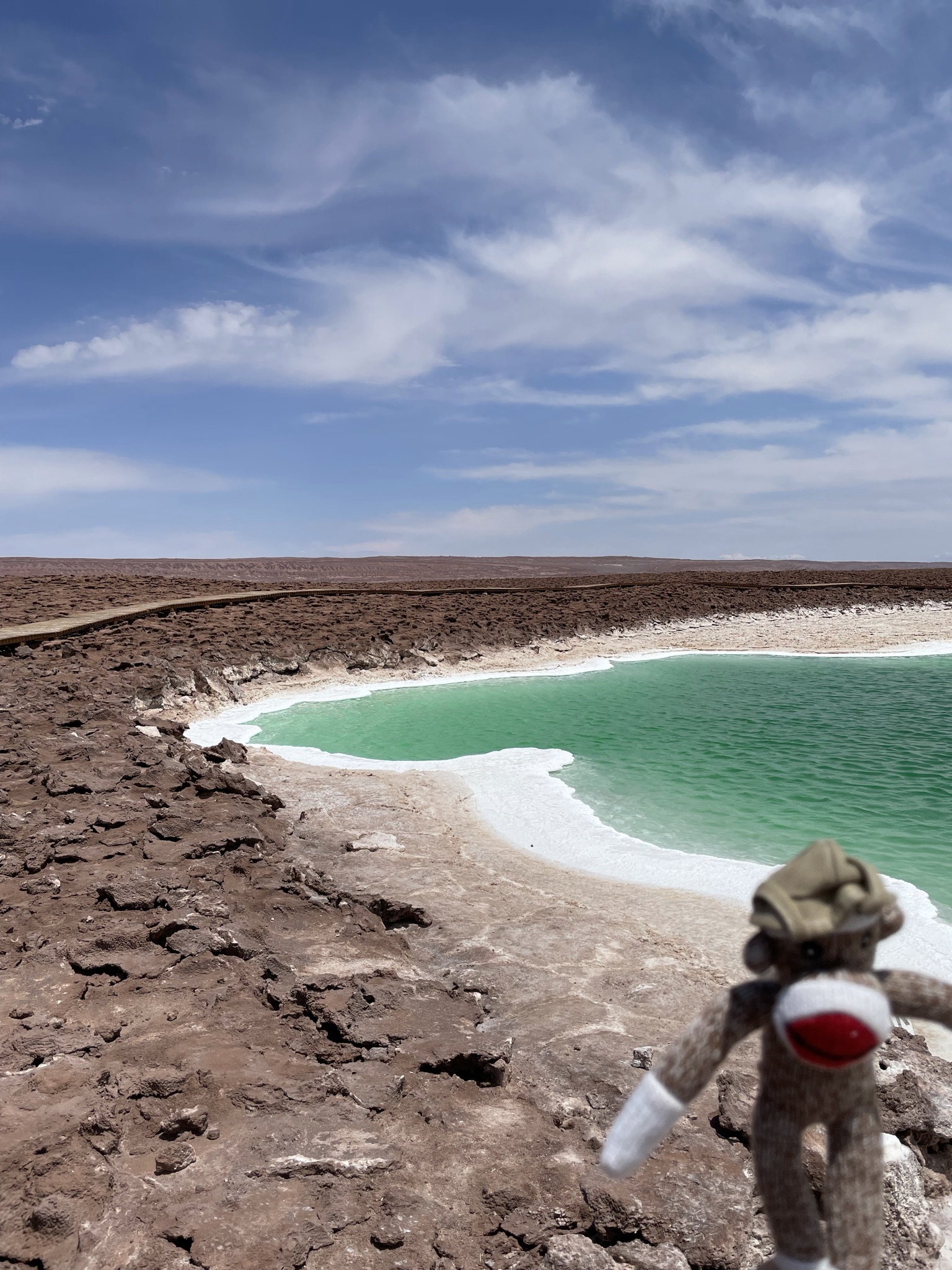 SOCK MONKEY > Dmitri Williams