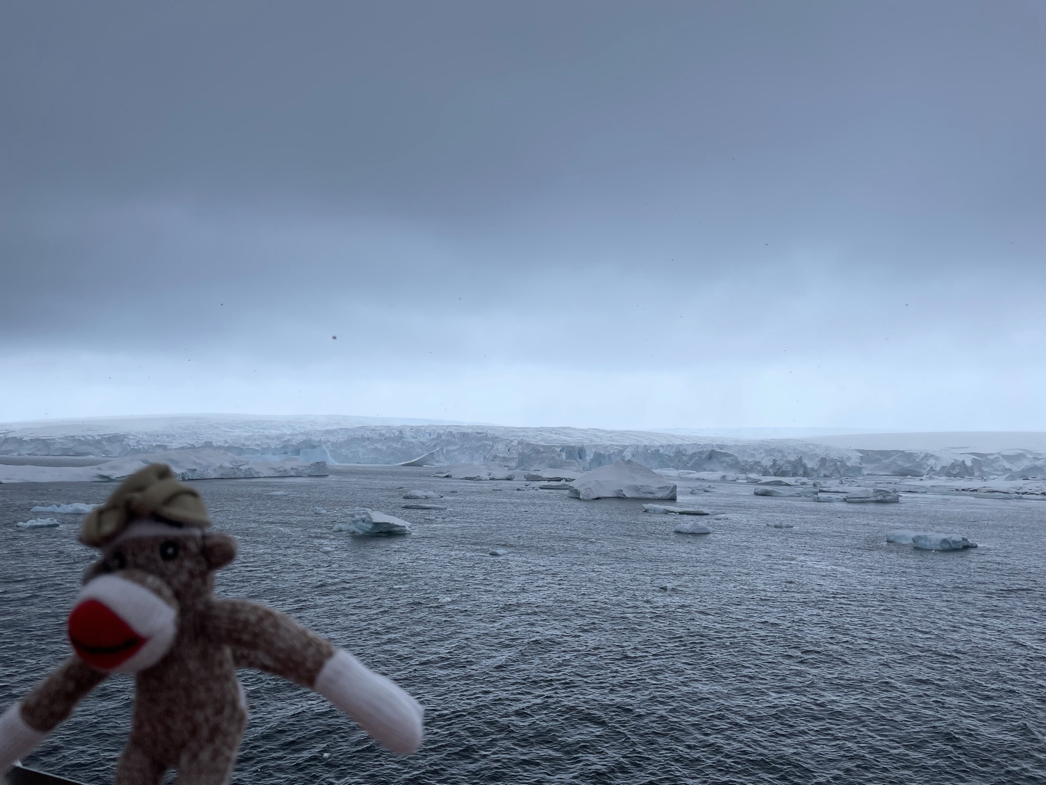 SOCK MONKEY > Dmitri Williams