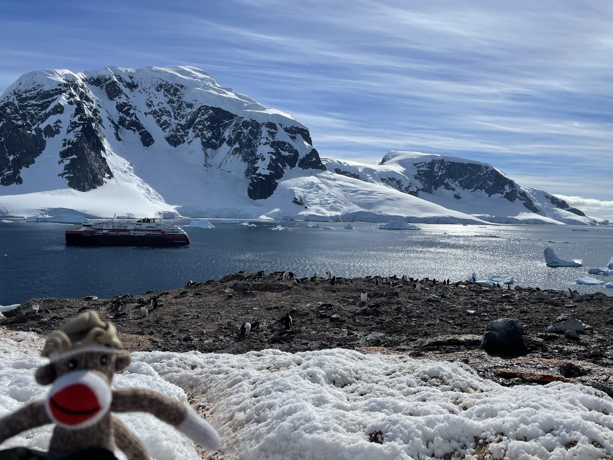 SOCK MONKEY > Dmitri Williams