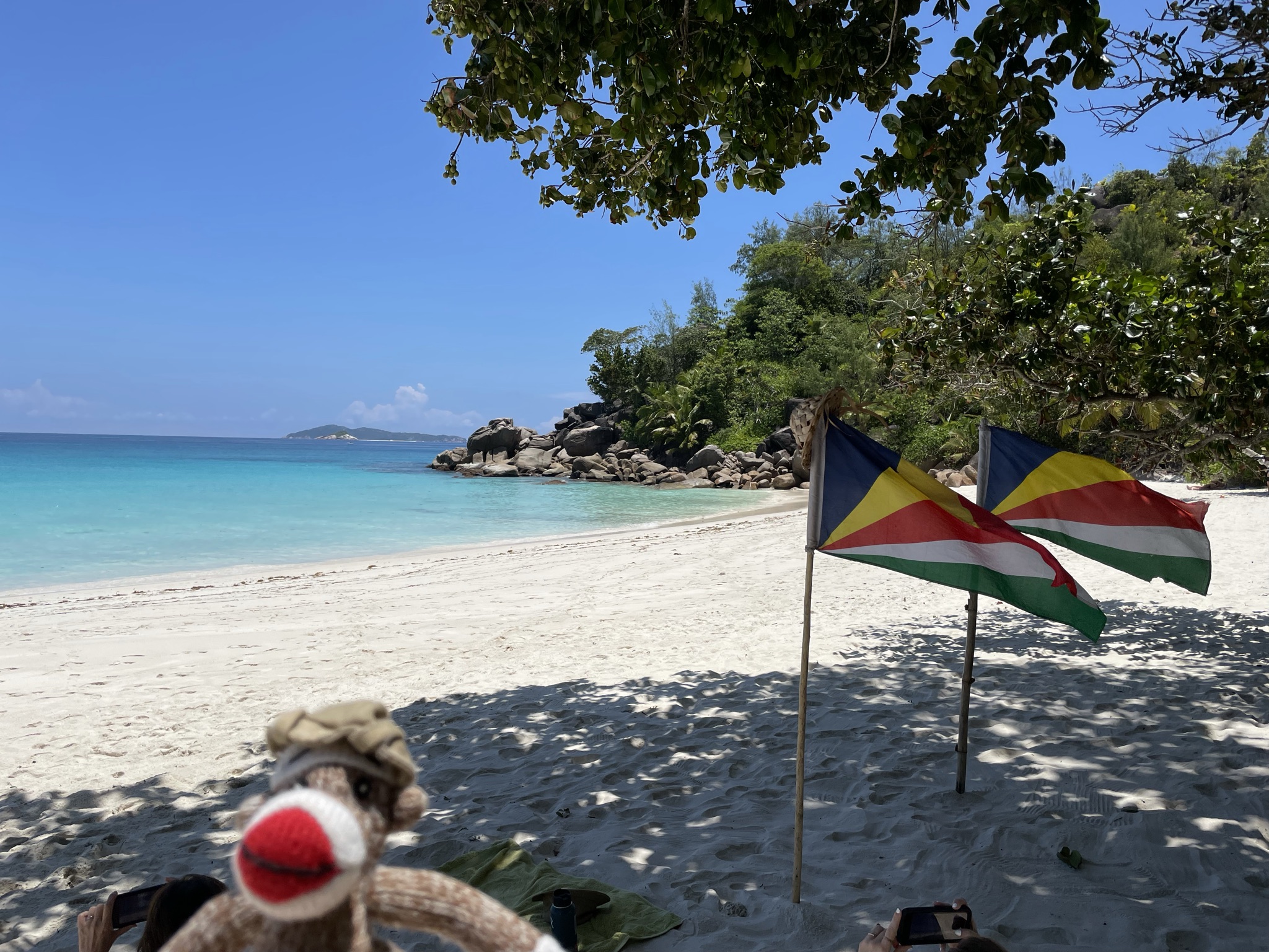 SOCK MONKEY > Dmitri Williams